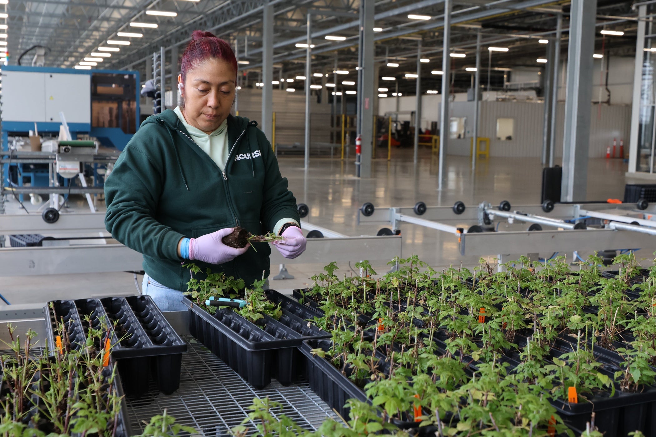 Setting Goals – Nourse Farms