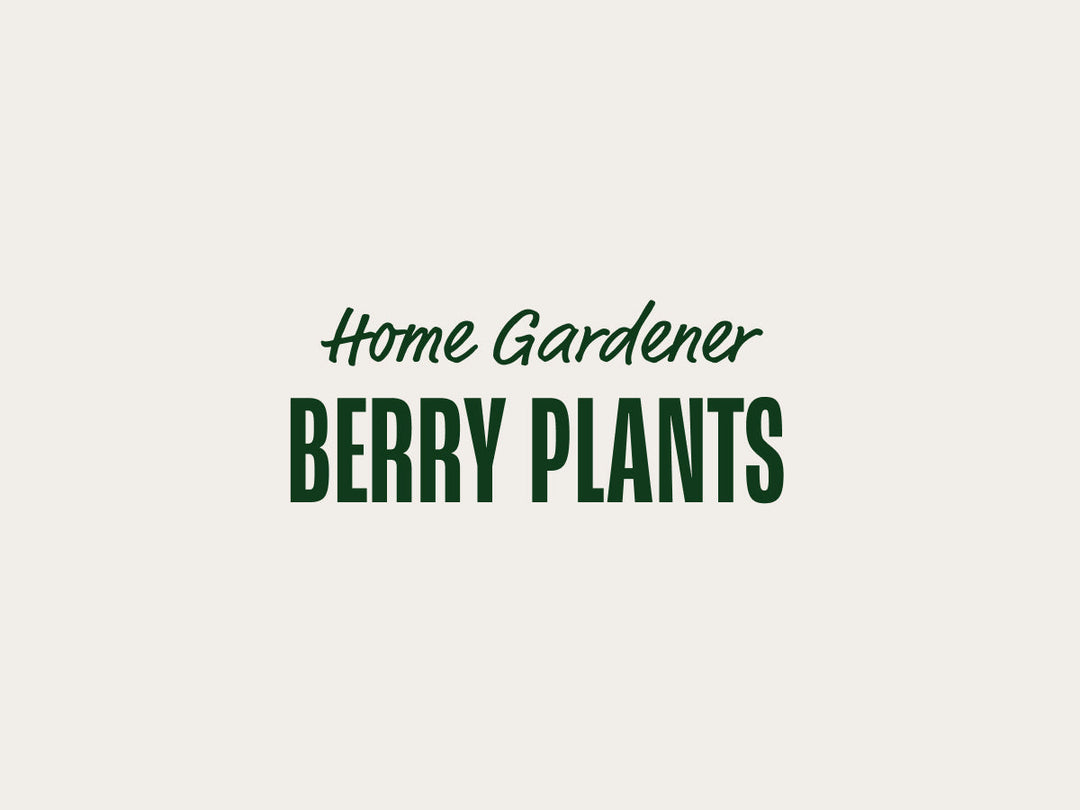 Collections – Nourse Farms