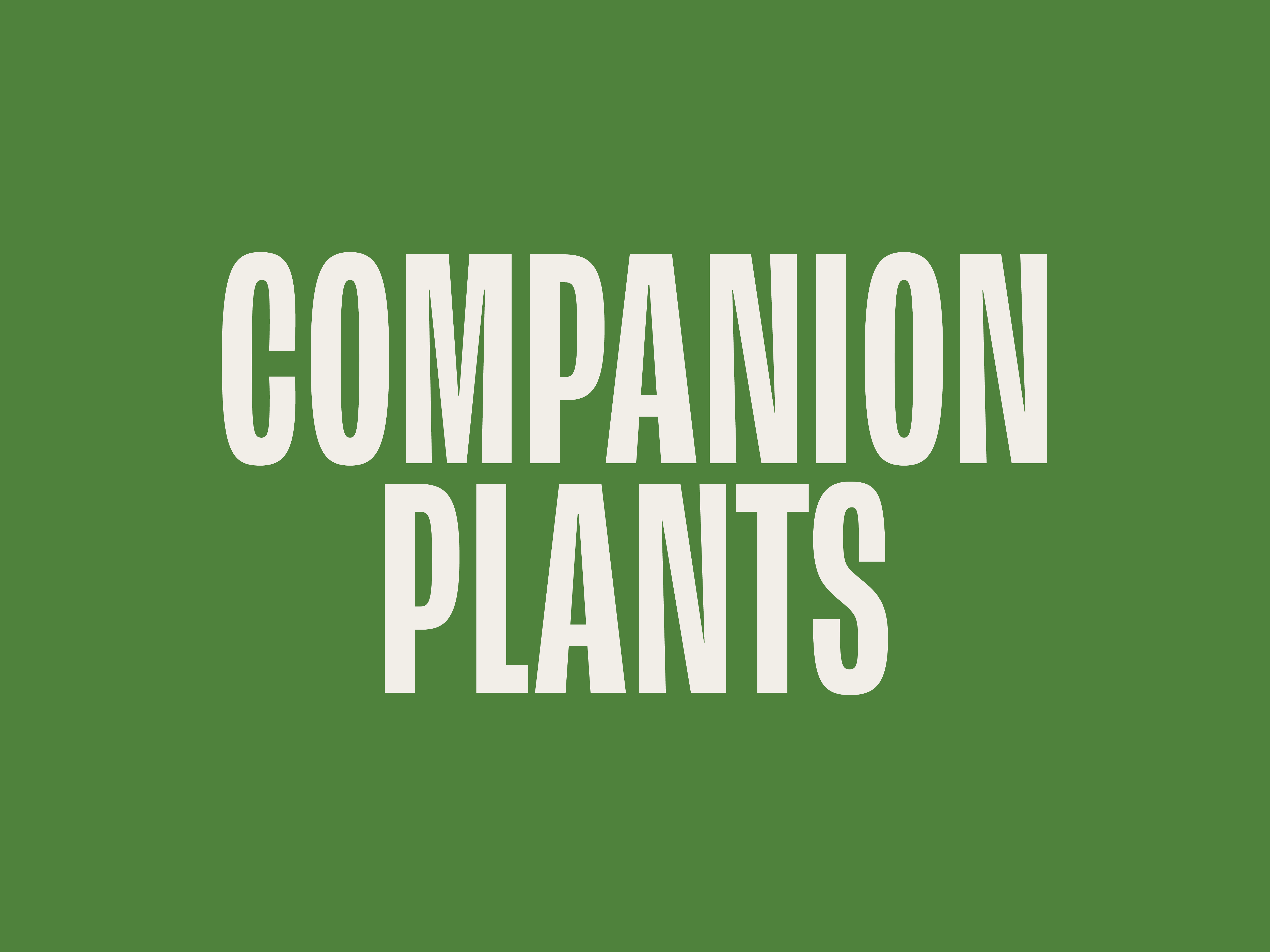 Companions – Nourse Farms