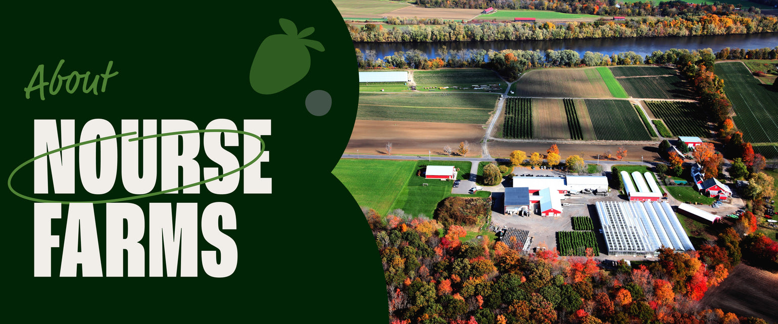 About Nourse Farms