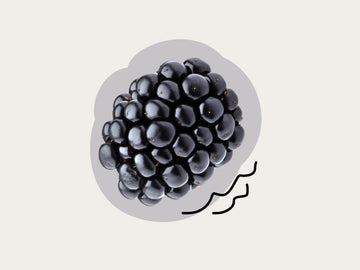 https://www.noursefarms.com/ – Nourse Farms