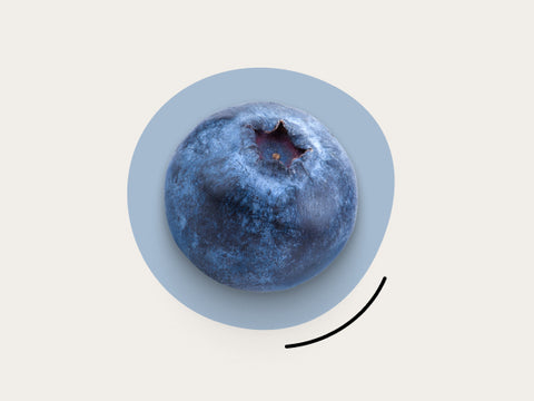 https://www.noursefarms.com/ – Nourse Farms
