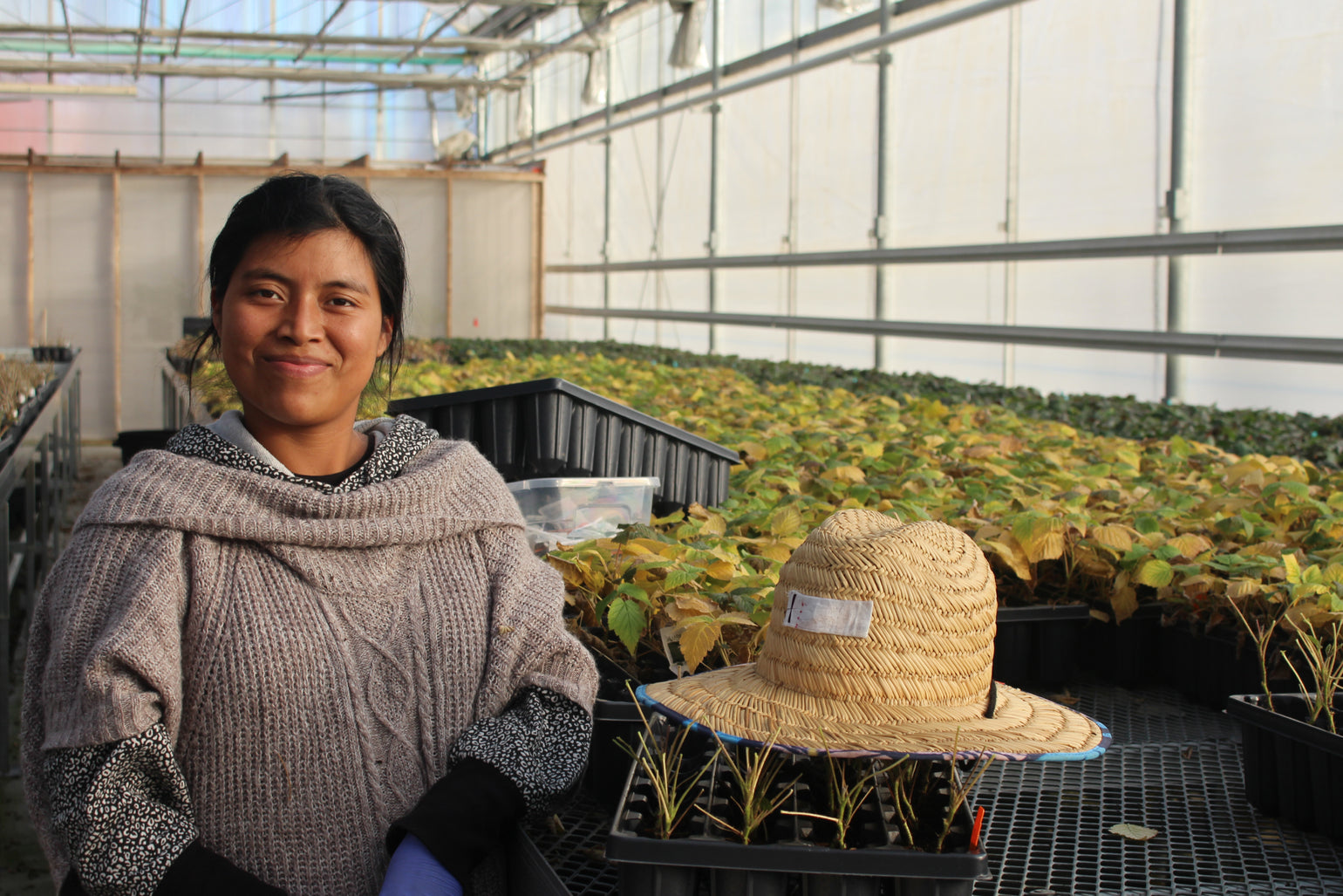 The Nourse Difference – Nourse Farms