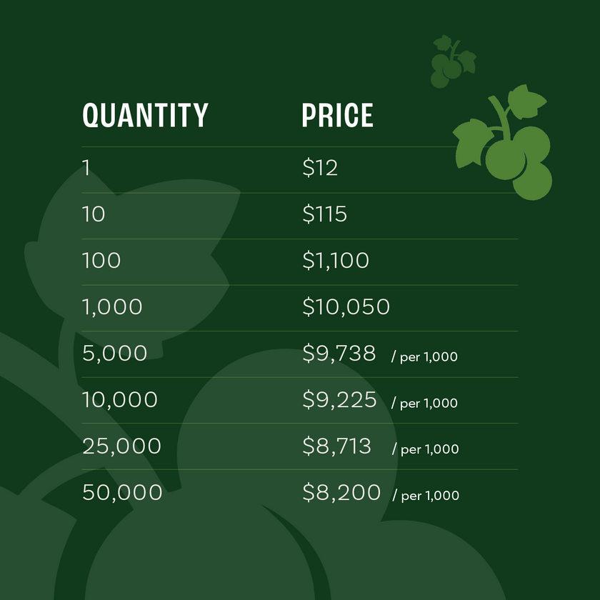 Rovada Currant Plant – Nourse Farms