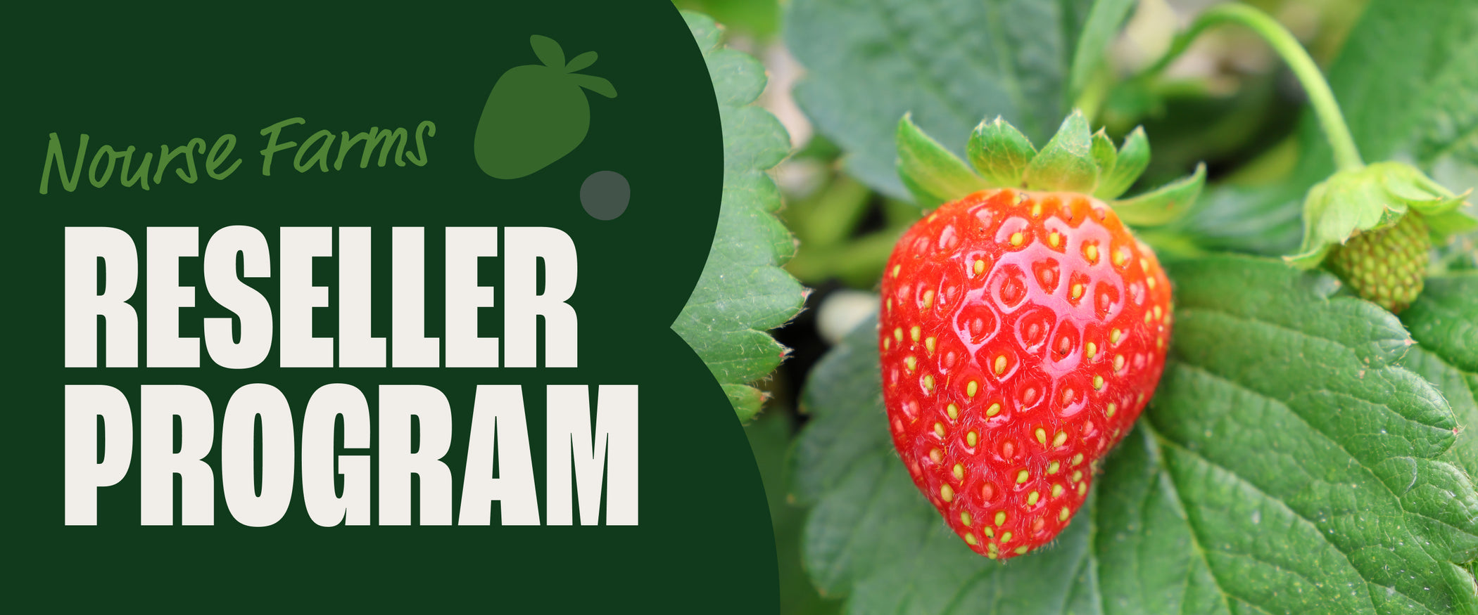 Reseller Program – Nourse Farms