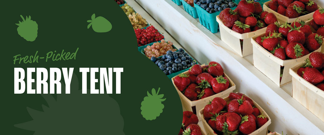 Fresh-Picked Berry Tent – Nourse Farms
