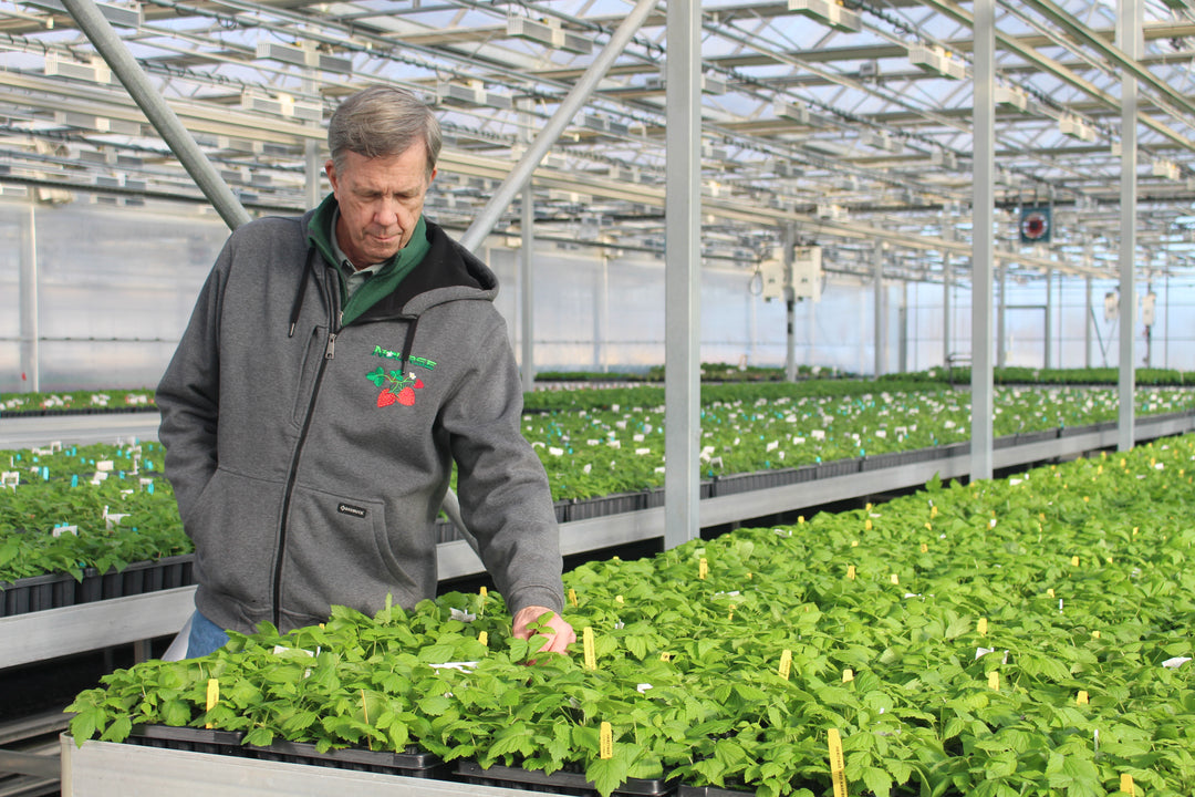 The Nourse Difference – Nourse Farms